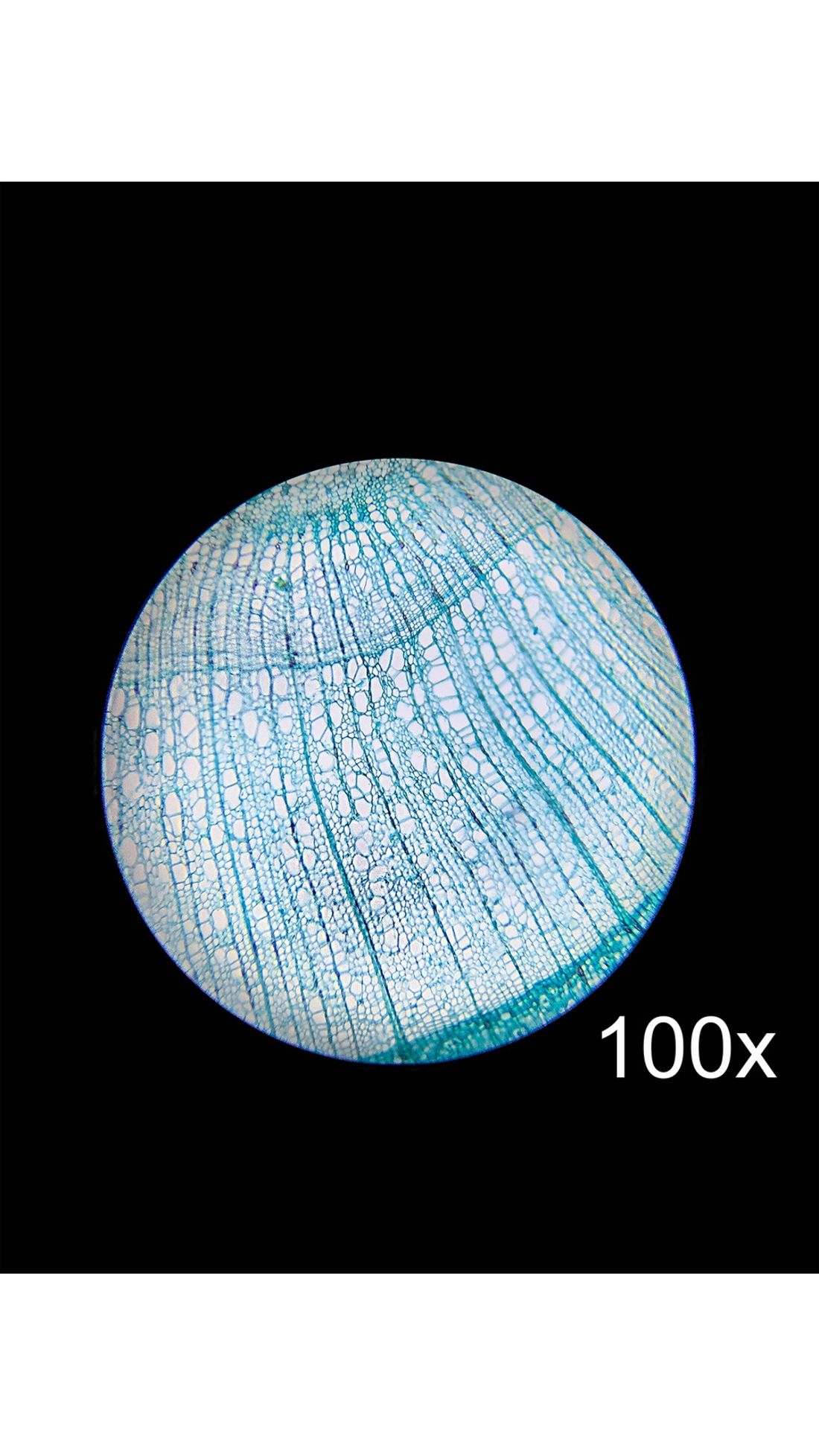 Barska Student Monocular Compound 800x Microscope AY13110. Barska ...